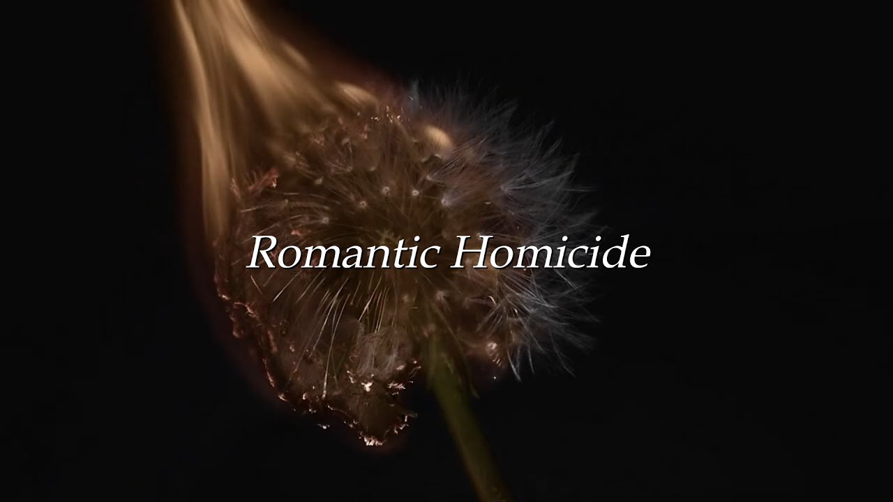 Romantic Homicide / Cover - YouTube