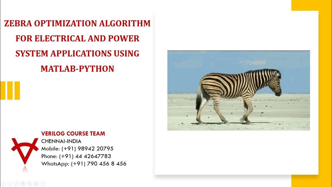 Zebra Optimization Algorithm For Electrical And Power System Applications Using Matlab Python