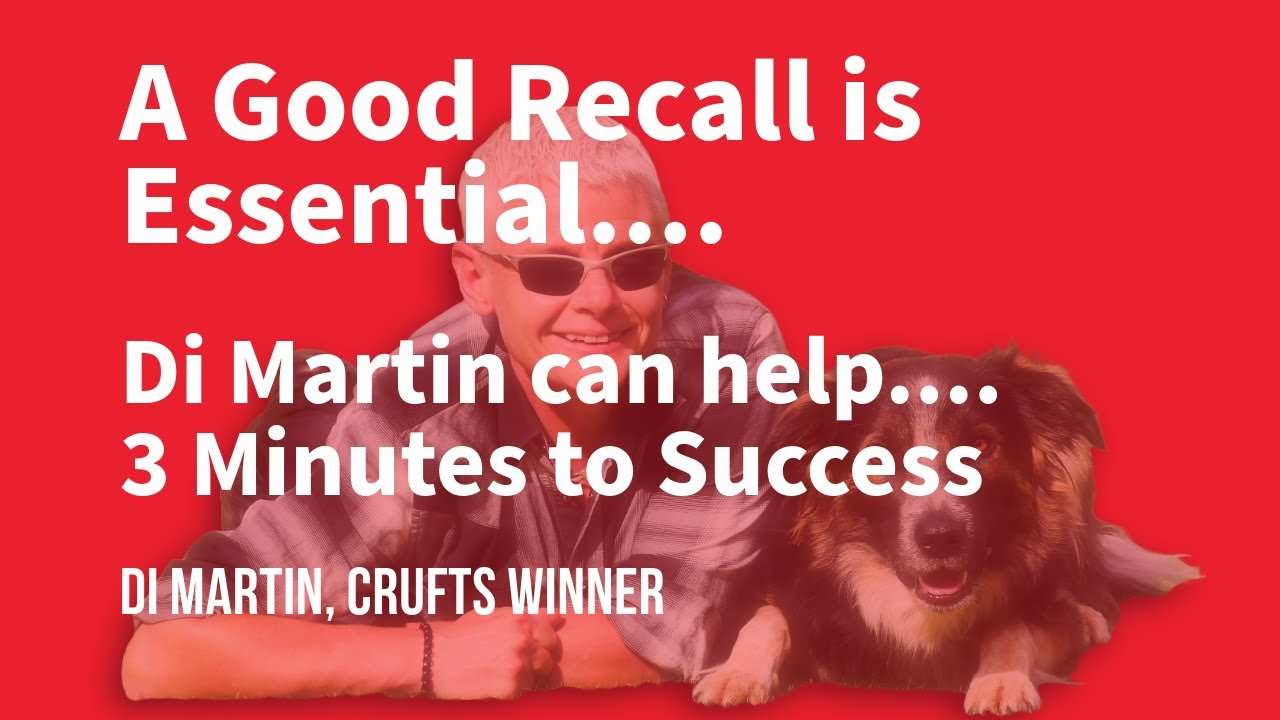 Early Recall Training - Get it right with Di Martin. 3 Minutes to ...