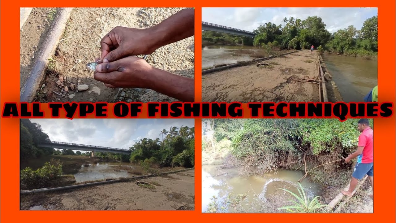 ALL TYPE OF FISHING TECHNIQUES | IN ONE PLACE | FISH VIDEO - YouTube
