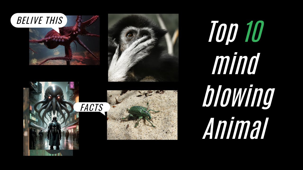 Unusual Animal Behavior Animal Facts - YouTube