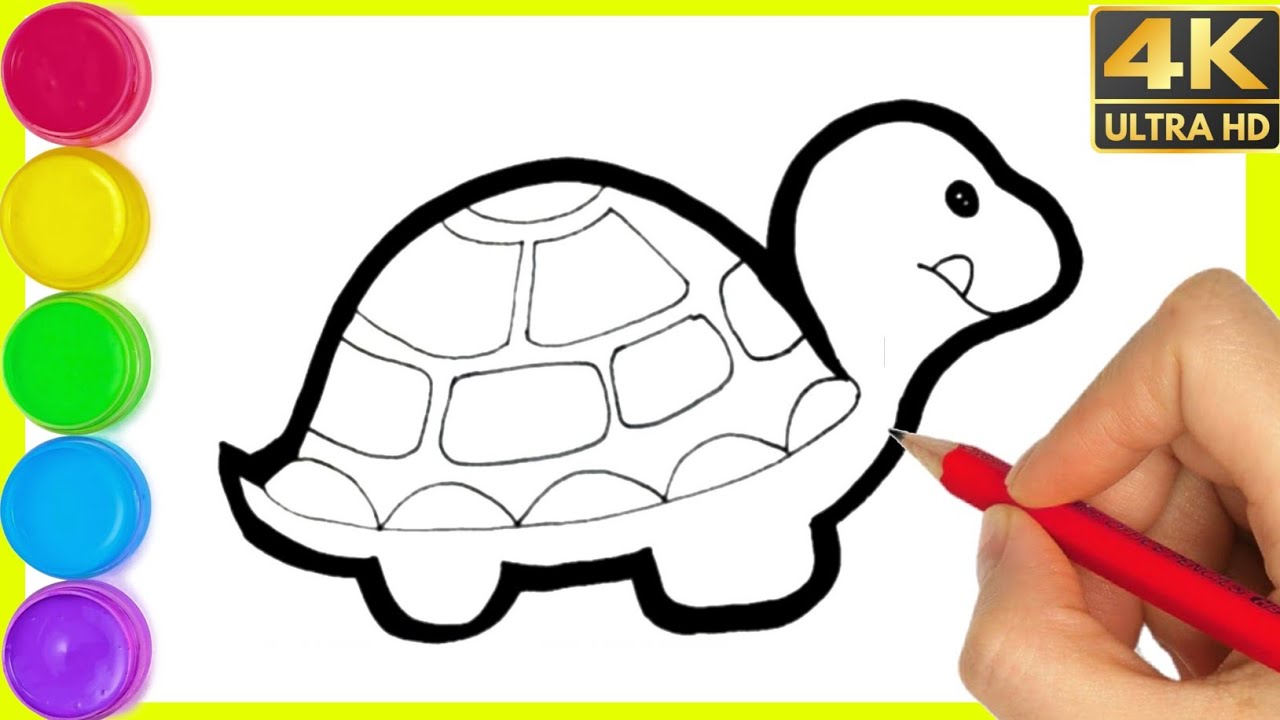 How to draw a Tortoise or Turtle step by step || Easy way to draw sea ...