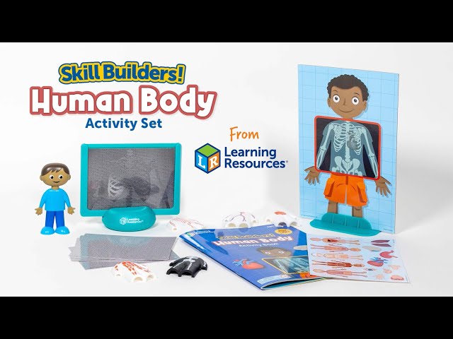 Human Body Activities For Early Learning