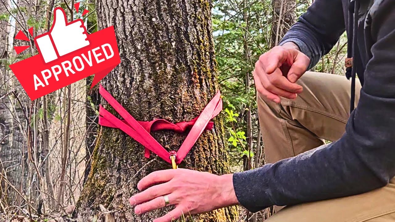 3 Wrap, 2 Pull anchor Perfect the FIRST time. - YouTube