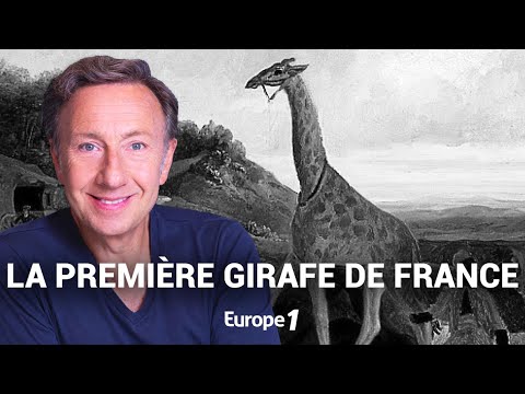 La véritable histoire de Zarafa, la première girafe de France, racontée ...