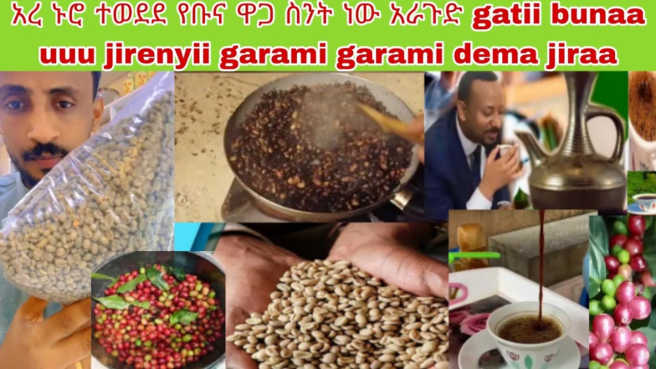 አረ ኑሮ ተወደደ የቡና ዋጋ ስንት ነው አራጉድ gatii bunaa uuu jirenyii garami garami ...