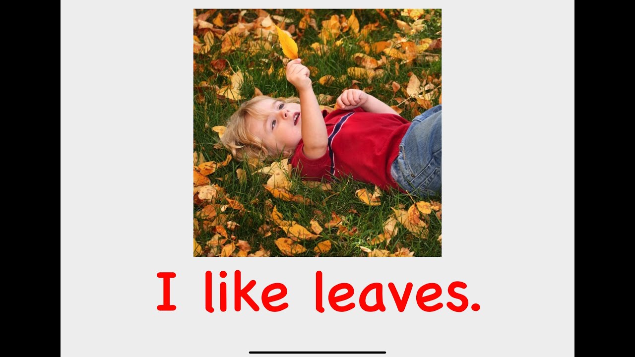 Preschool storytime | Kids book read aloud | I Like Leaves - YouTube