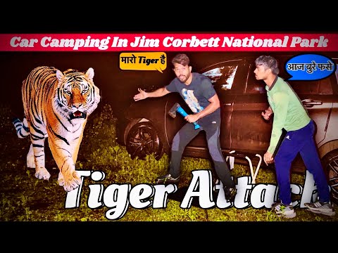 [4K] Tiger 🐅 Attack: Car Camping in the Heart of Jim Corbett's Tiger Territory, Nainital,Uttarakhand