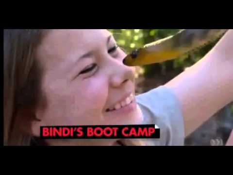 Bindi Irwin introduces "Bindi's Bootcamp" on ABC3 2012 - YouTube