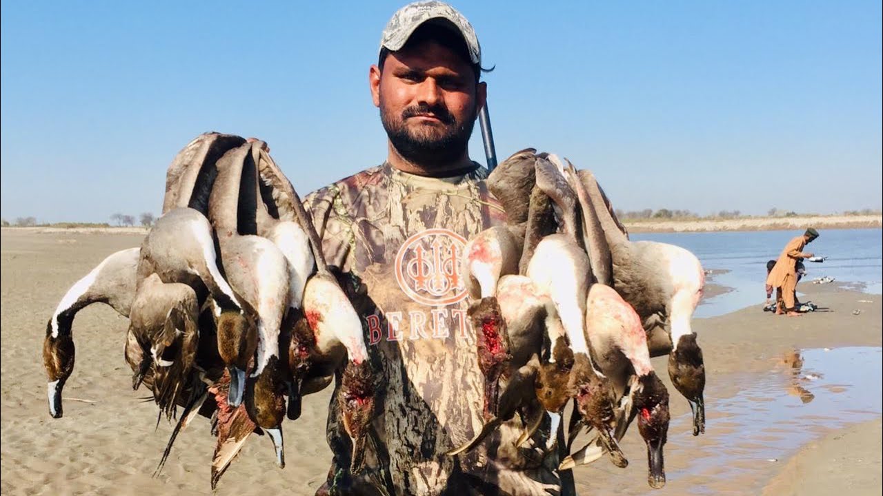 Duck shooting | Murghabi ka shikar | Duck hunting in pakistan - YouTube