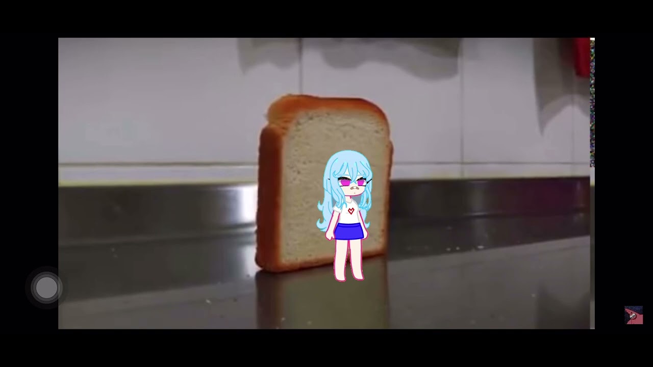 Bread fall over me meme - YouTube