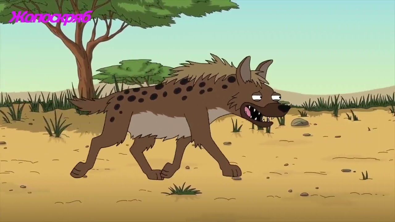 Гриффины / Лучшие моменты / Family Guy / Аферисты / Лженаследница ...