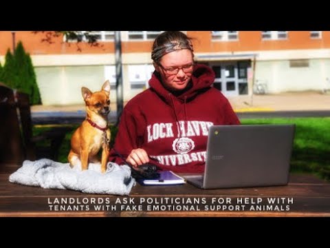 Landlords Ask Politicians For Help With Tenants With Fake Emotional ...