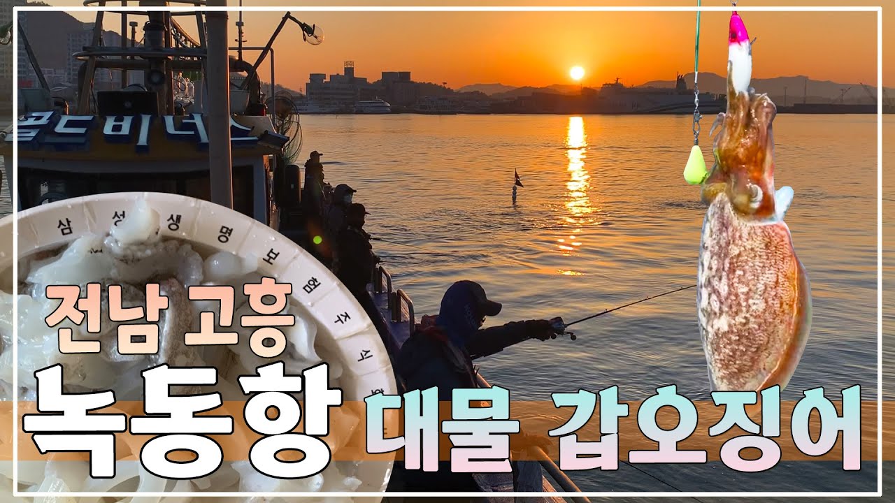고흥 대포알 갑오징어 선상 낚시🐙🛥 Korean cuttlefish Boat Fishing - YouTube