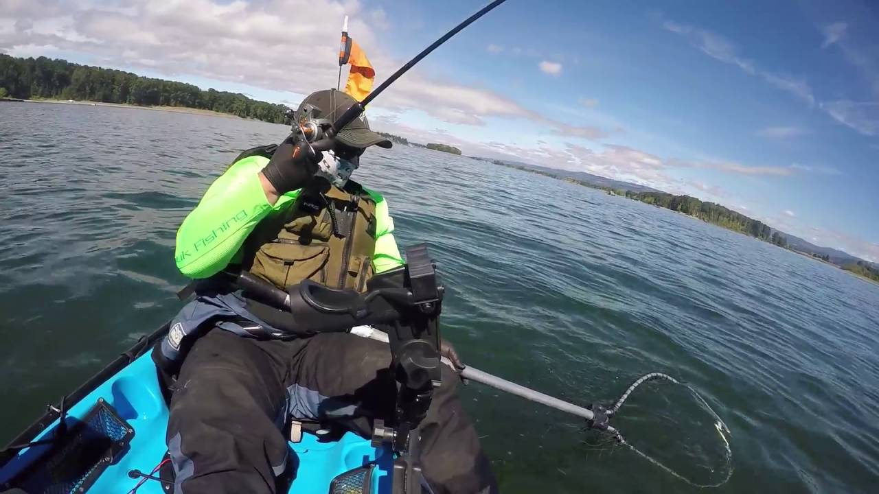 Jack chinook Columbia - YouTube