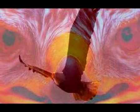 "The Eagle" ASL - YouTube