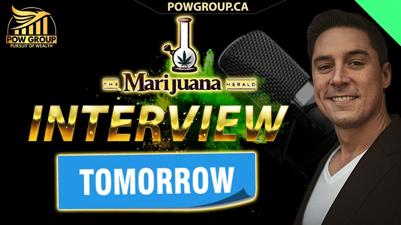 🚨Interview Tomorrow🚨 The Marijuana Herald Founder Anthony Martinelli ...