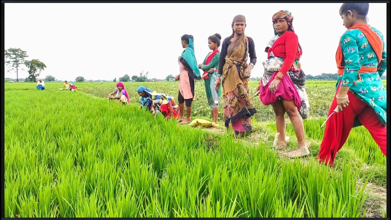 Unbelievable Morning Village Life India in U.P. | Ancient Culture ...