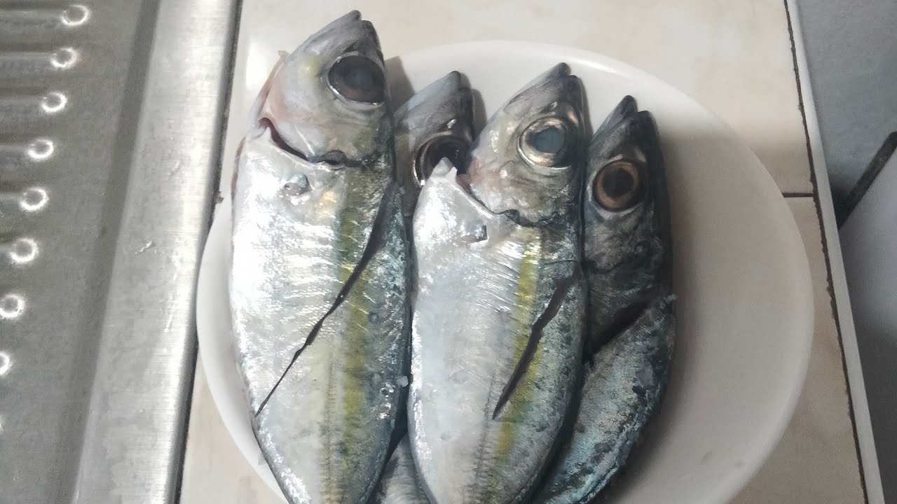 Kenneth Soriano is live! Fried Fish #ASMR #shortvideo#viralvideo ...