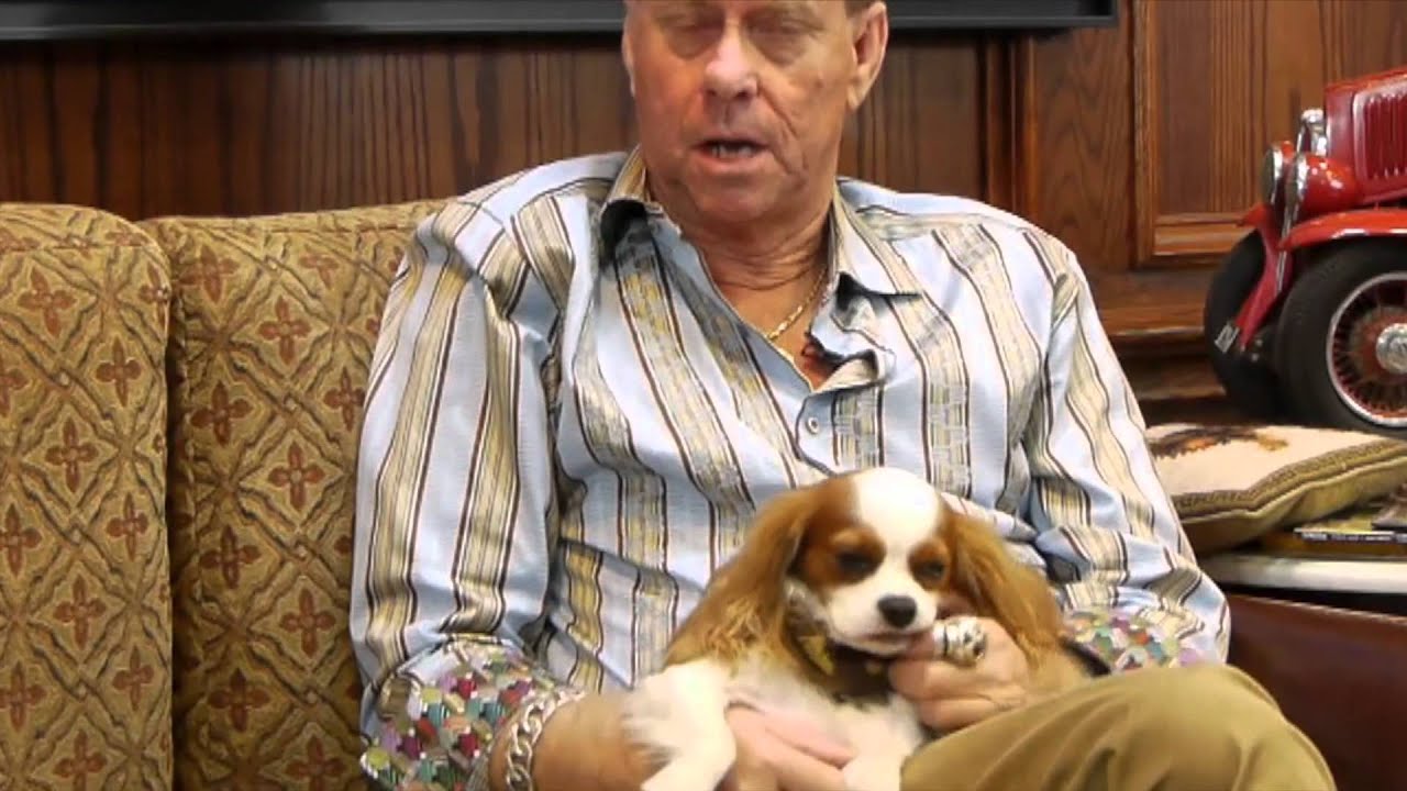 Ron Sturgeon on King Charles Cavaliers - YouTube