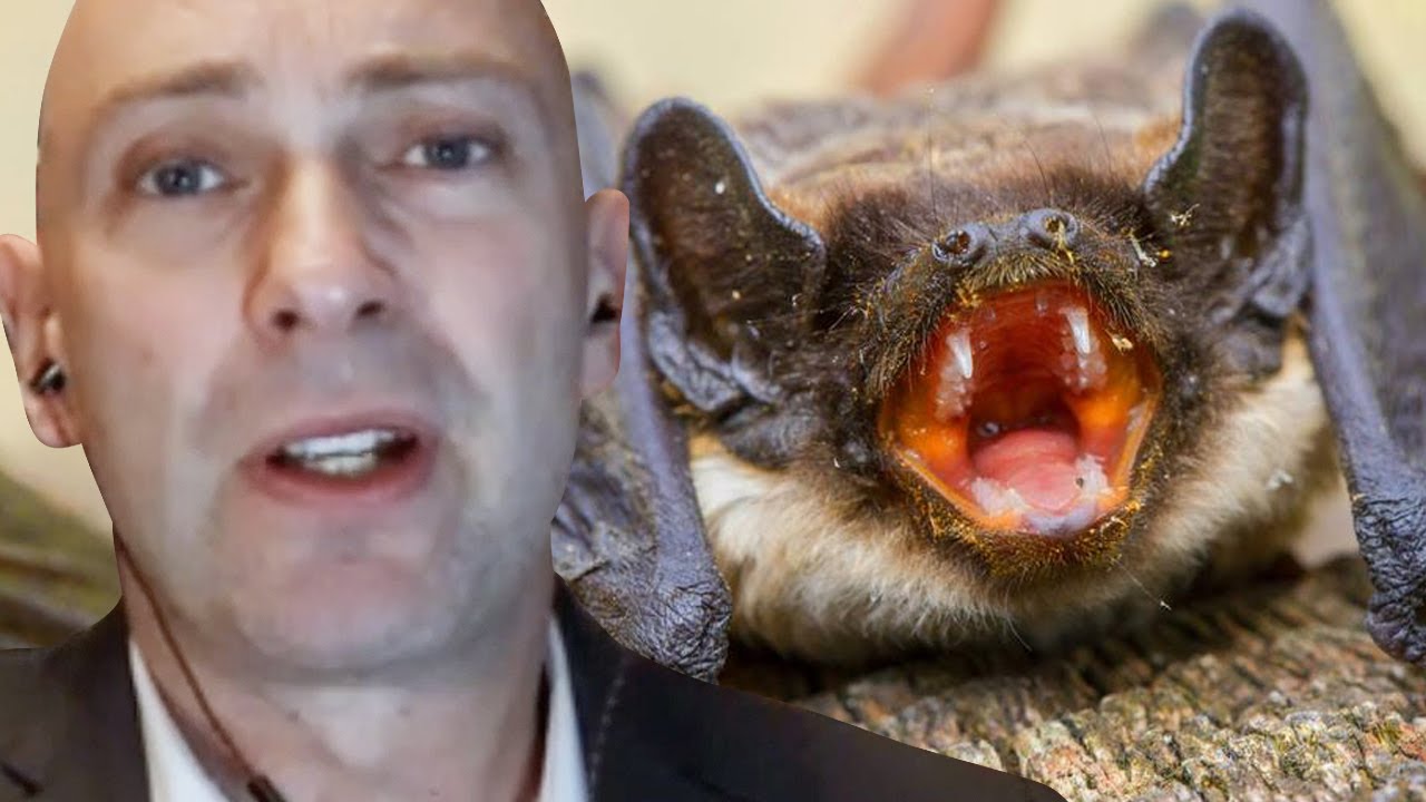 How Viruses Jump From Animals To Humans | Shaun Attwood - YouTube