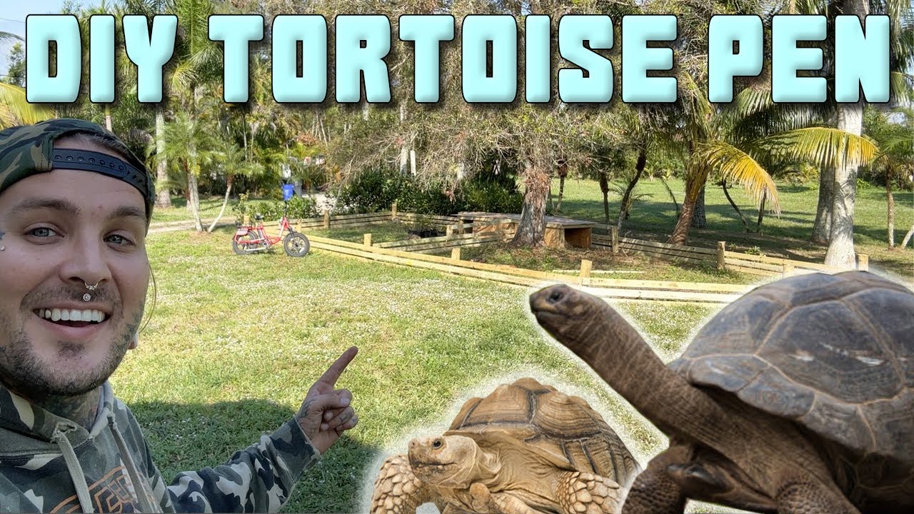 Building a HUGE Tortoise Pen on the NEW property! For the Aldabras and ...