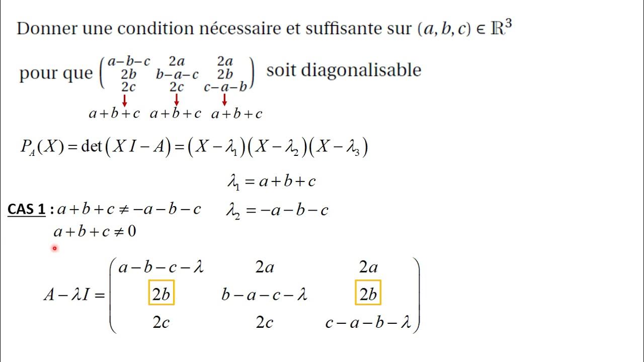 Exemple 3 d'étude de la diagonalisation d'une matrice carrée avec ...