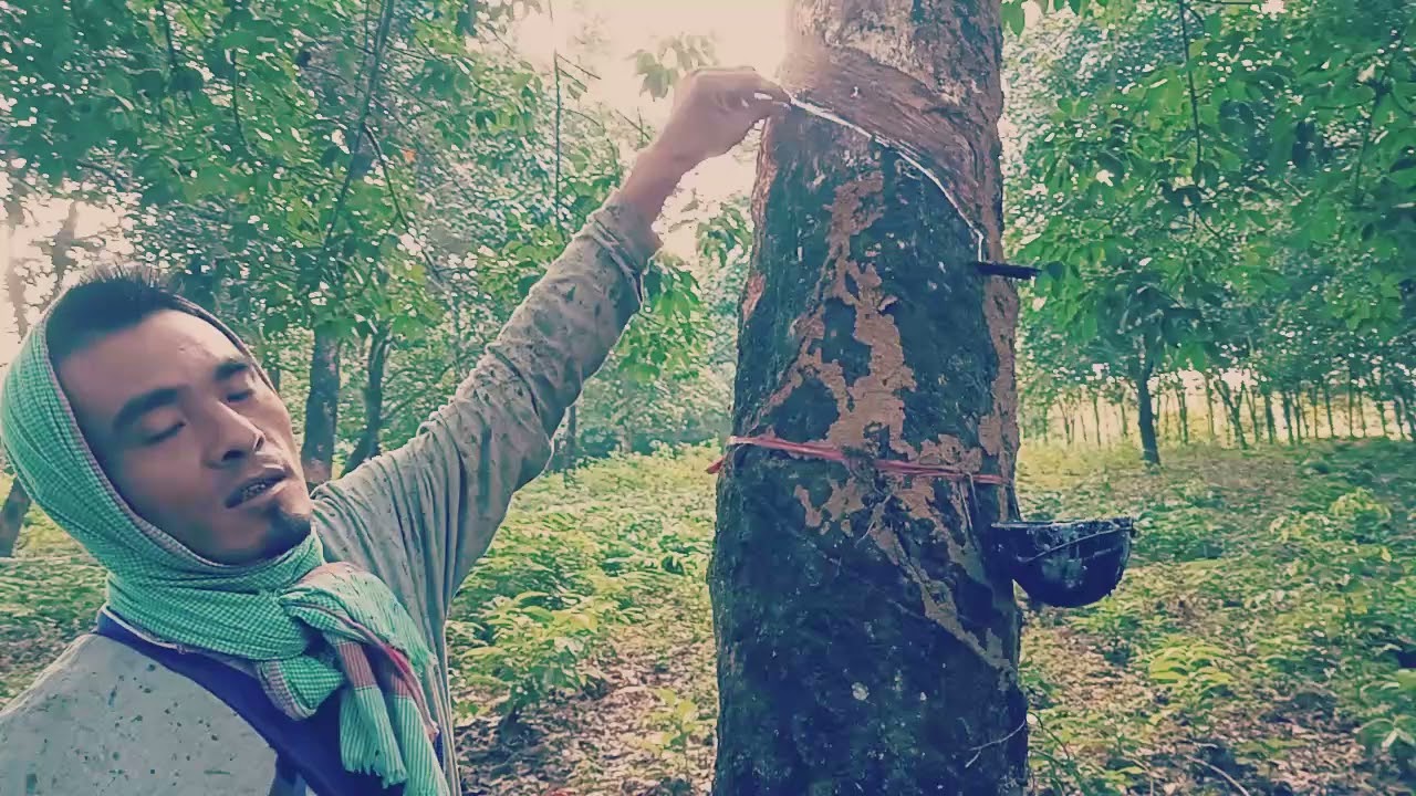 RABBER PROCESSING - YouTube