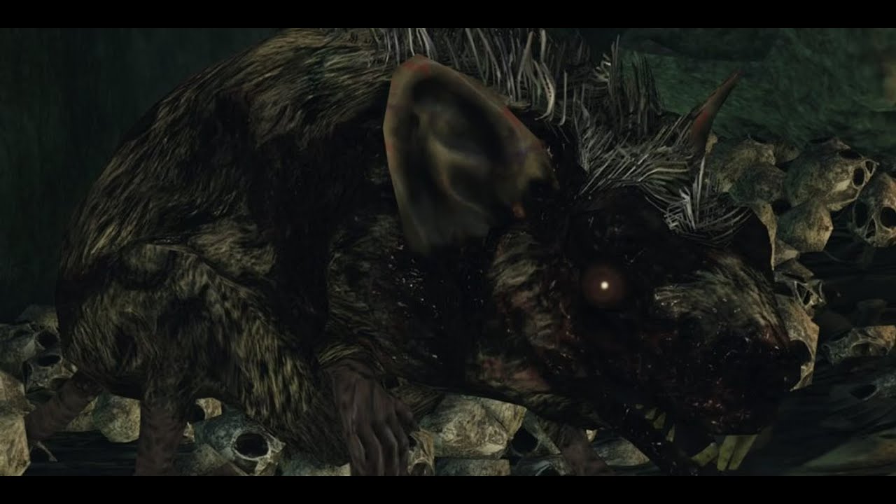 DARK SOULS II: Royal Rat Vanguard - YouTube