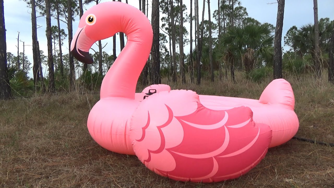 Mega Flamingo Inflatable Island from Intex - YouTube
