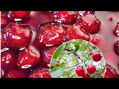 Gilənar mürəbbəsinin hazırlanması🍒Vişnə reçeli