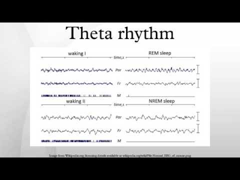 Theta rhythm - YouTube