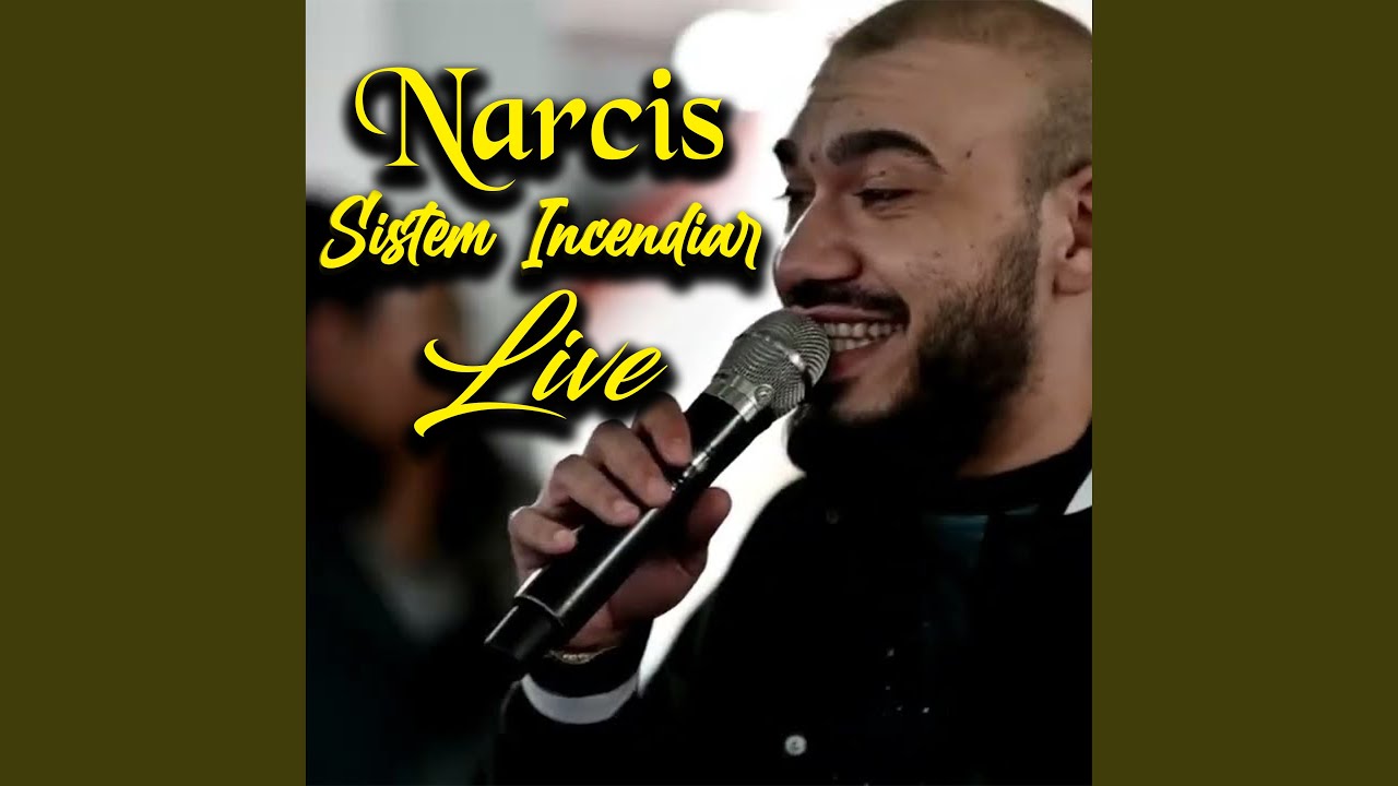 Am inima fericita sistem 2024 (Live) - Narcis de la Barbulesti: Song ...