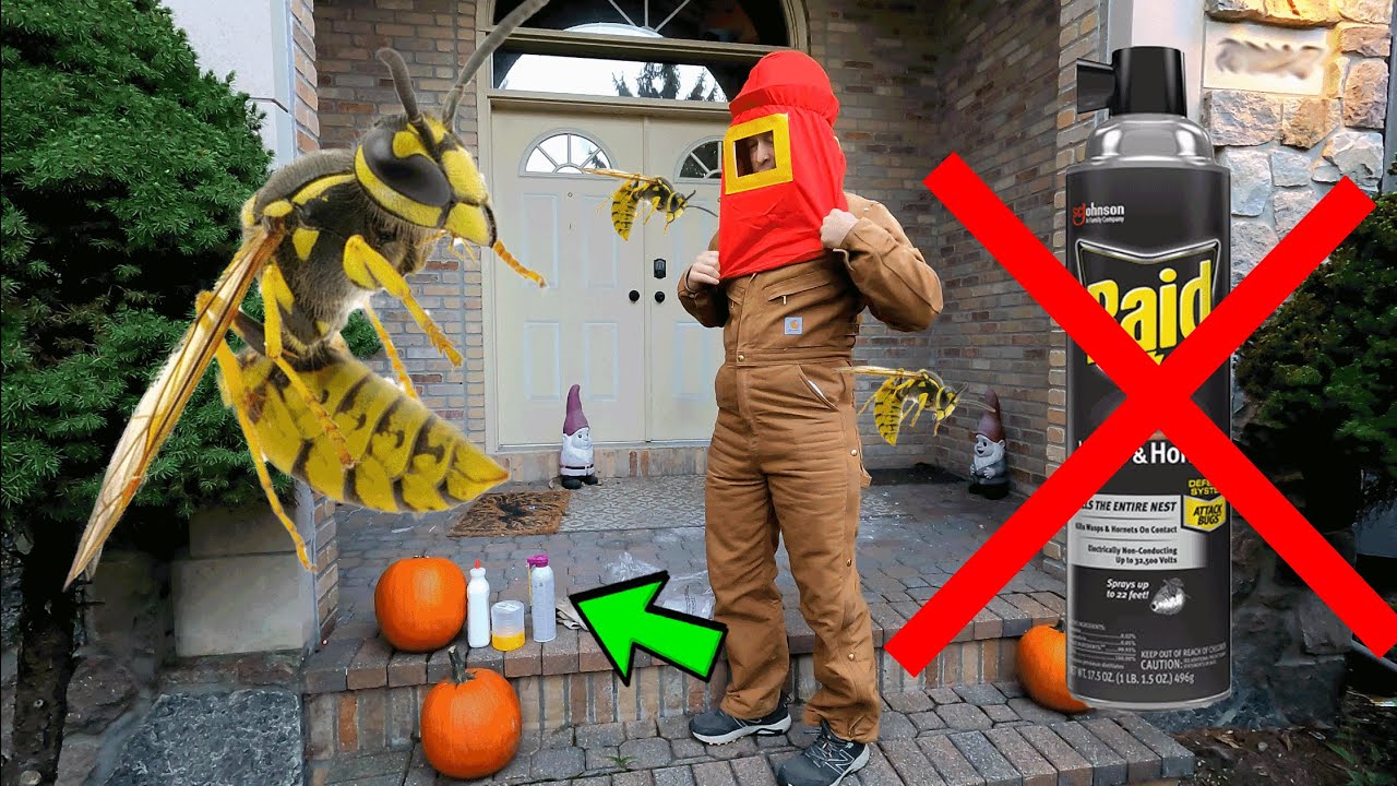 How To Get Yellow Jackets & Wasps Out of House Siding Without Getting ...