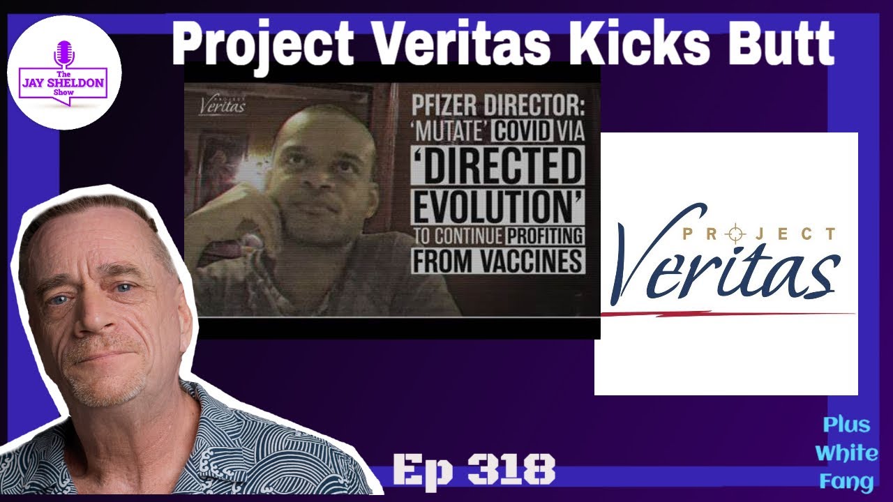 Project Veritas Kicks Butt - YouTube