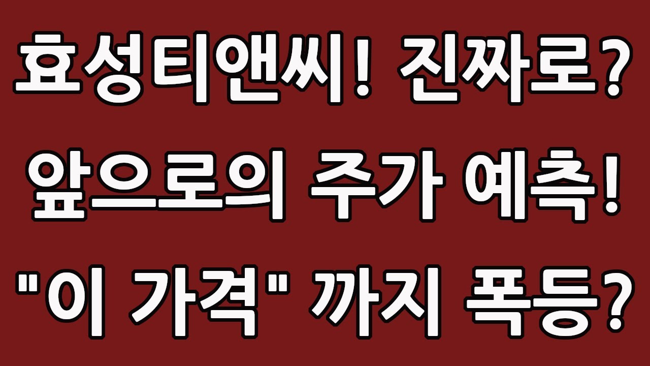 효성티앤씨 주식 주가 전망 삼성 전자 중공업 Sk 하이닉스 현대차 기아 네이버 카카오 셀트리온 두산 에너빌리티 Hlb 차이나
