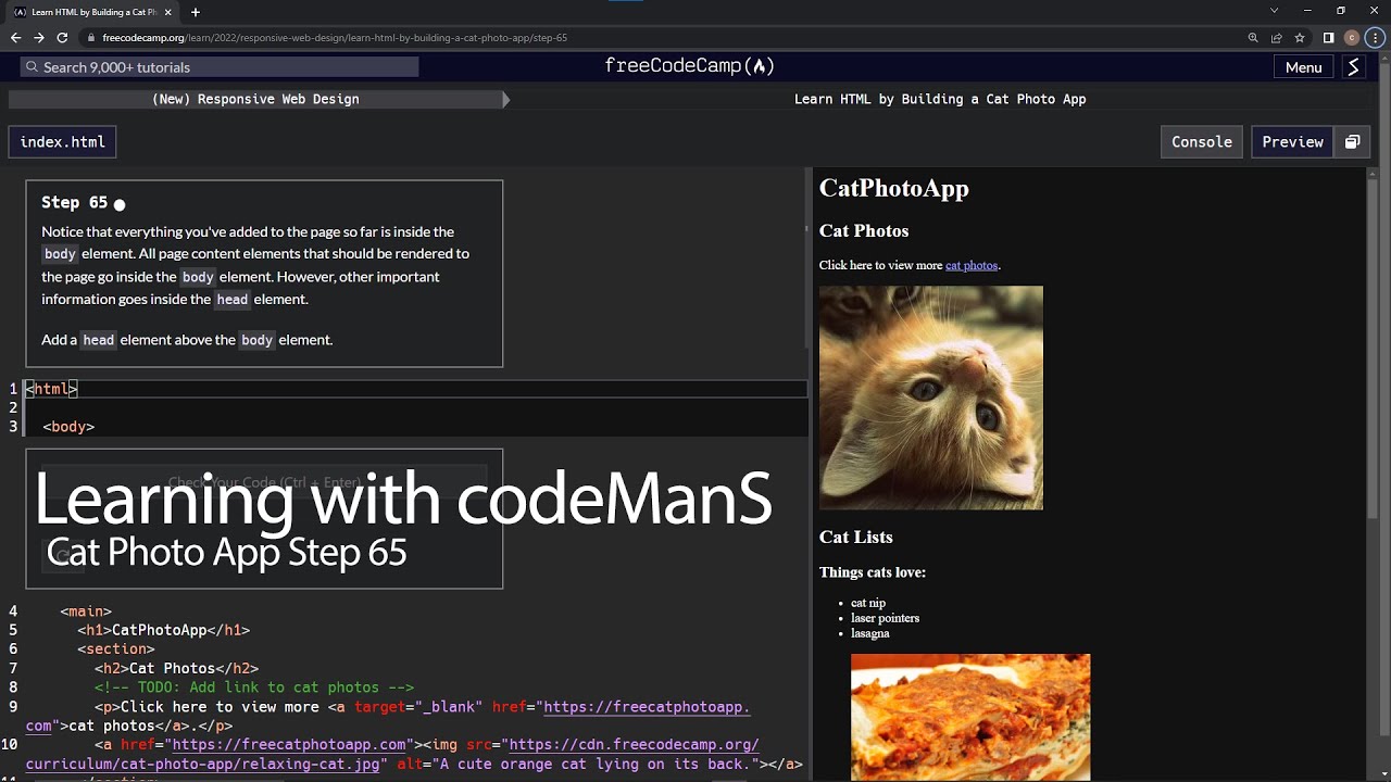Learn HTML by Building a Cat Photo App - Step 65 - YouTube