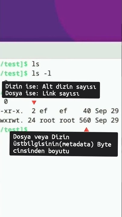 #Linux'ta Dosyalar, İzinler ve Linkler #shorts - YouTube