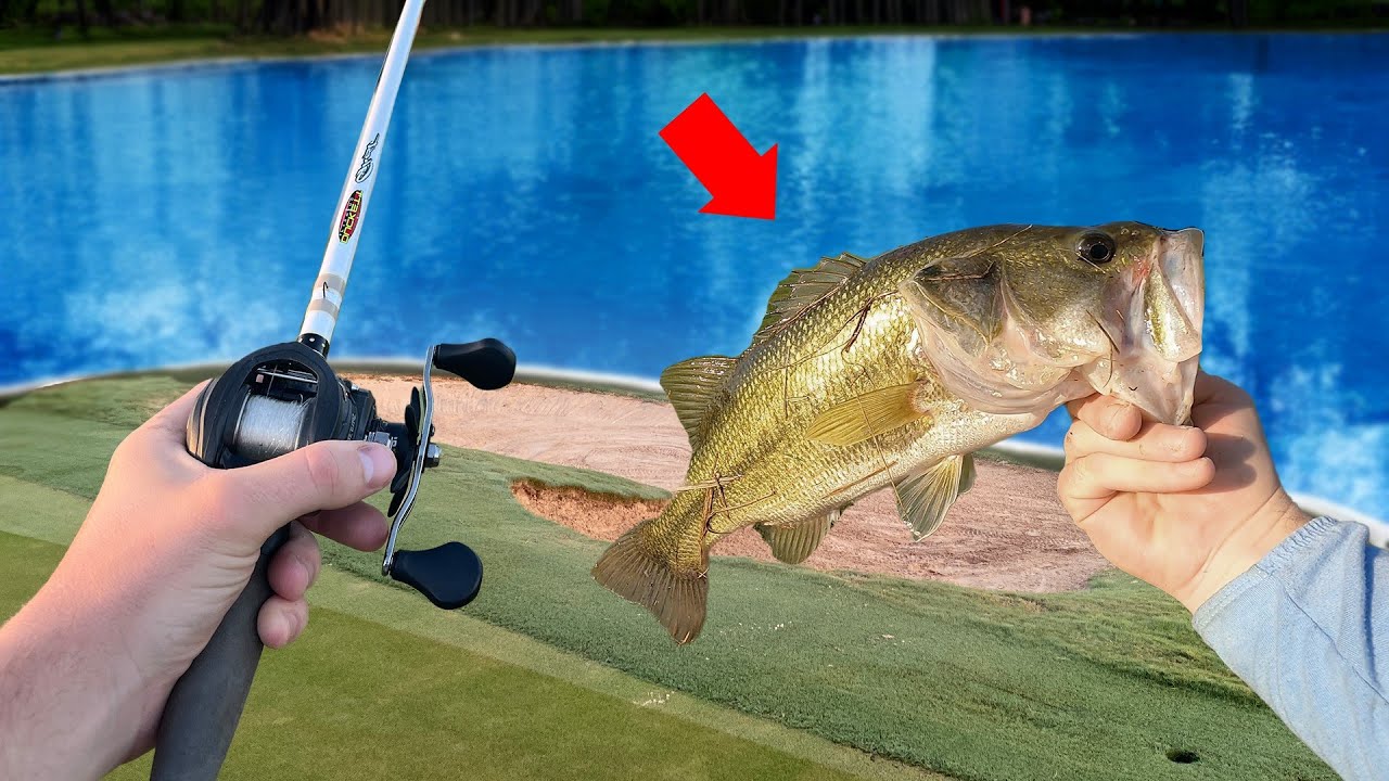 How to Fish at 99% of Golf Courses - YouTube