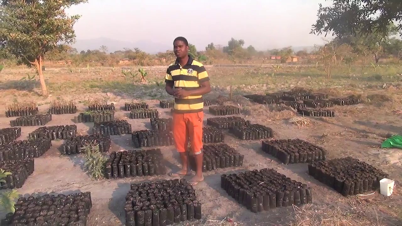 TREE NURSERY ESTABLISHMENT PPI YouTube tree-nursery-establishment-ppi-youtube