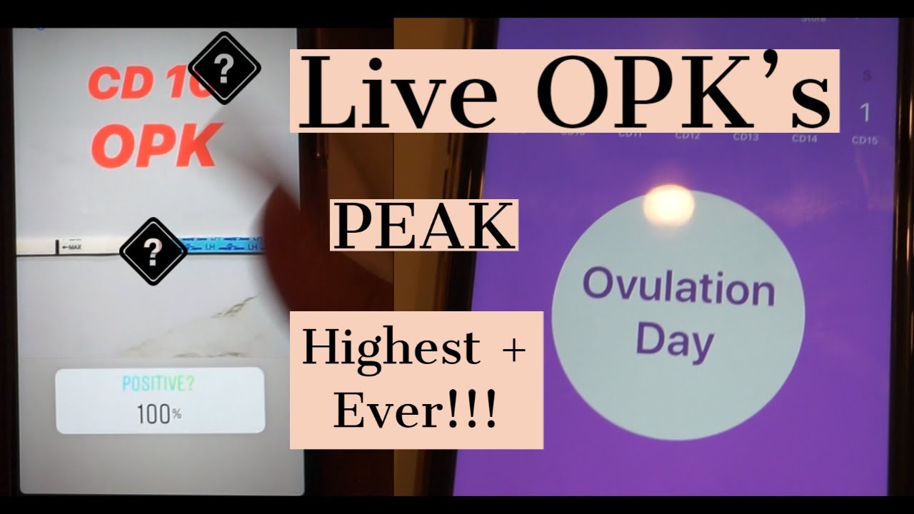 Live Ovulation Testing *PEAK So Soon !!?* - YouTube