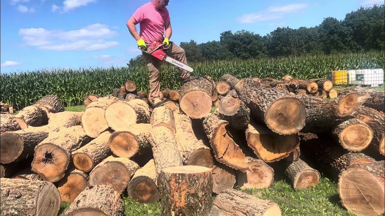 Firewood cutting with ported Efco 6500 - YouTube