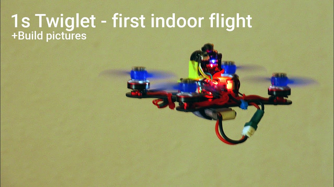 1s Twiglet mini - first flight (indoor) - YouTube