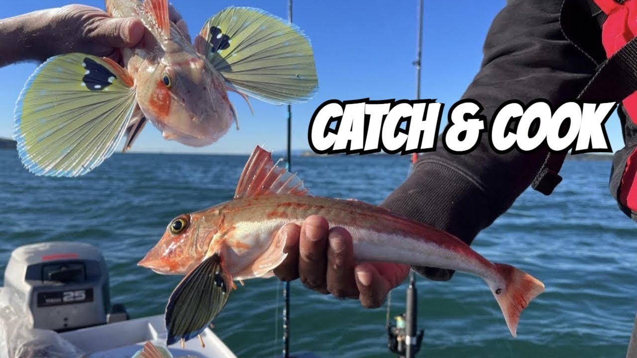 WINTER DINGHY FISHING in AUCKLAND - New Species UNLOCKED! (Catch and ...
