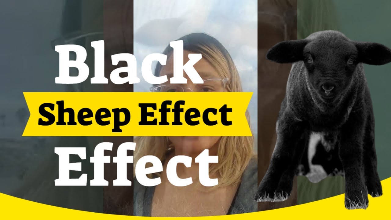 Black Sheep Effect - YouTube
