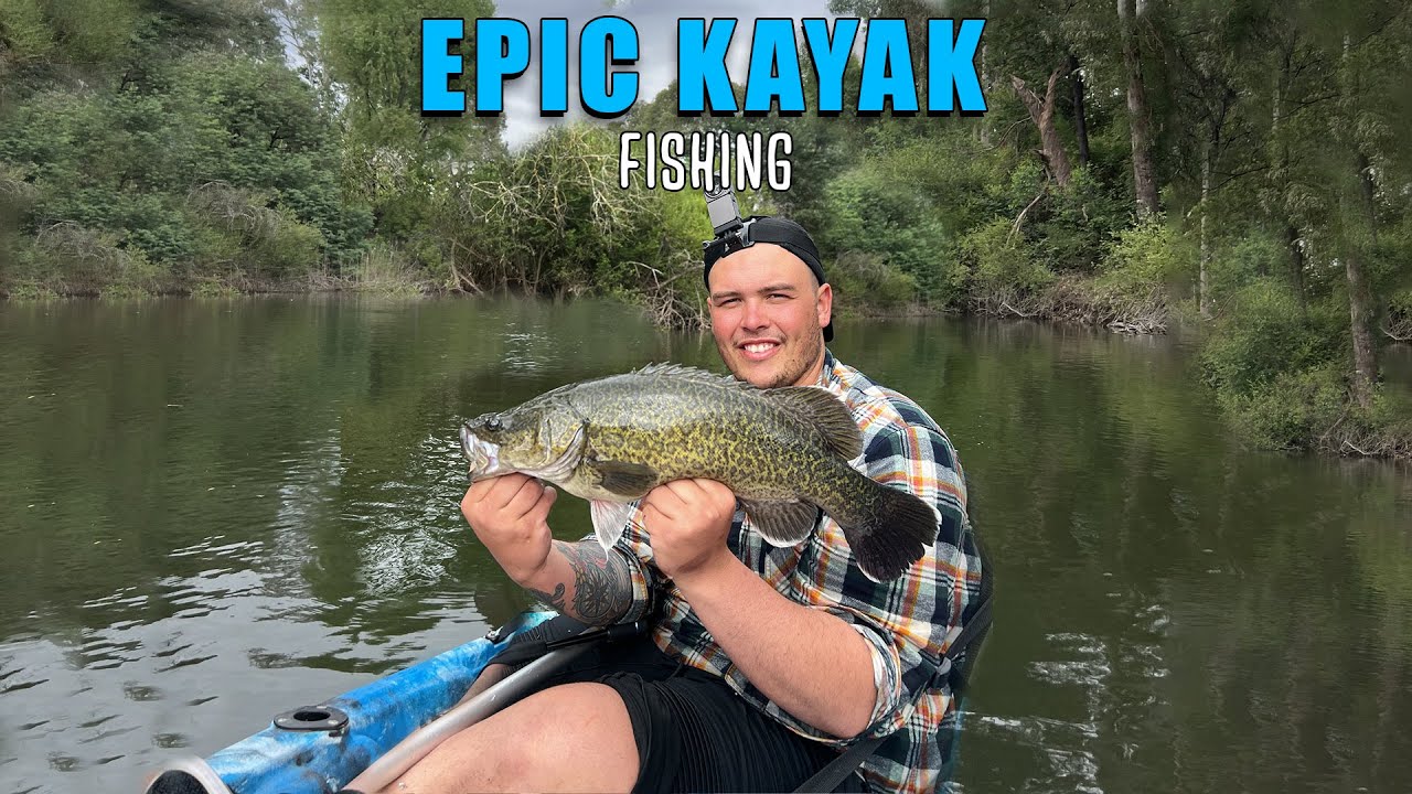 Murray Cod Kayak Fishing - How many do we catch? - YouTube