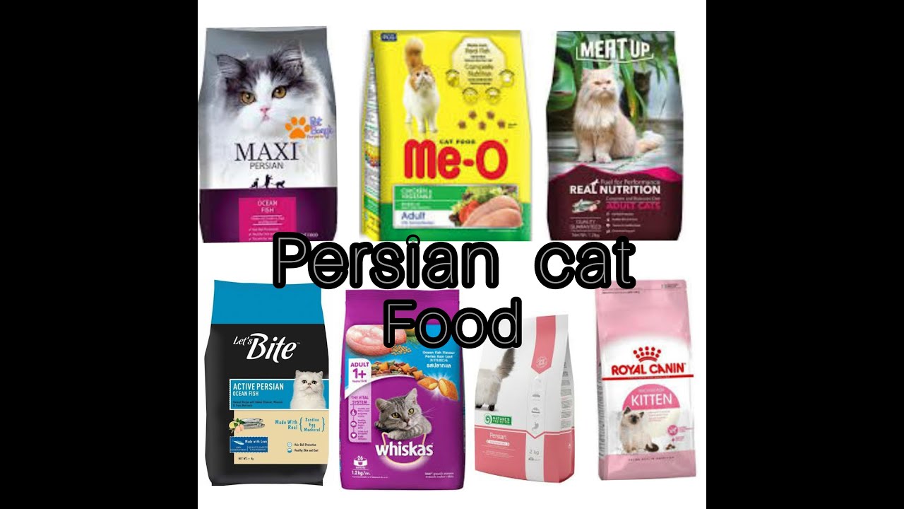 Top 5 Best Food For Persian Cat food For Furry Cats Too YouTube top-5-best-food-for-persian-cat-food-for-furry-cats-too-youtube