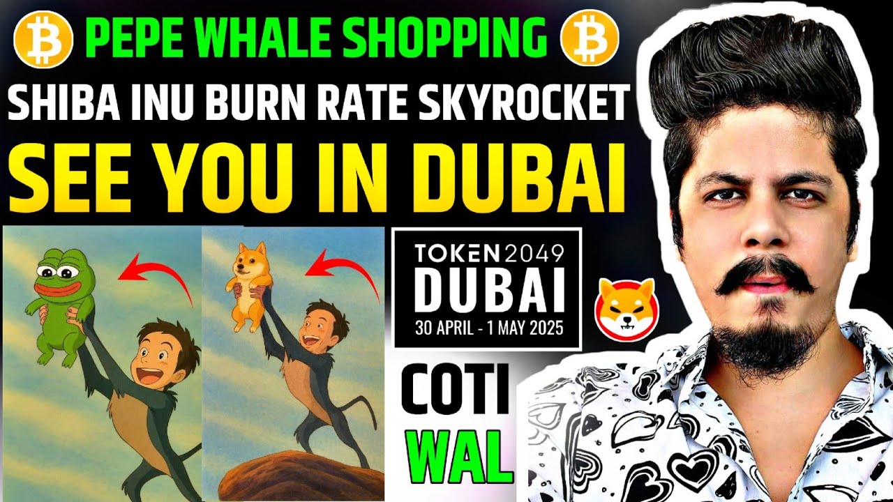 See You in Dubai | Shiba Inu | Pepe Whale Shopping | Bnb Listing | Wal ...