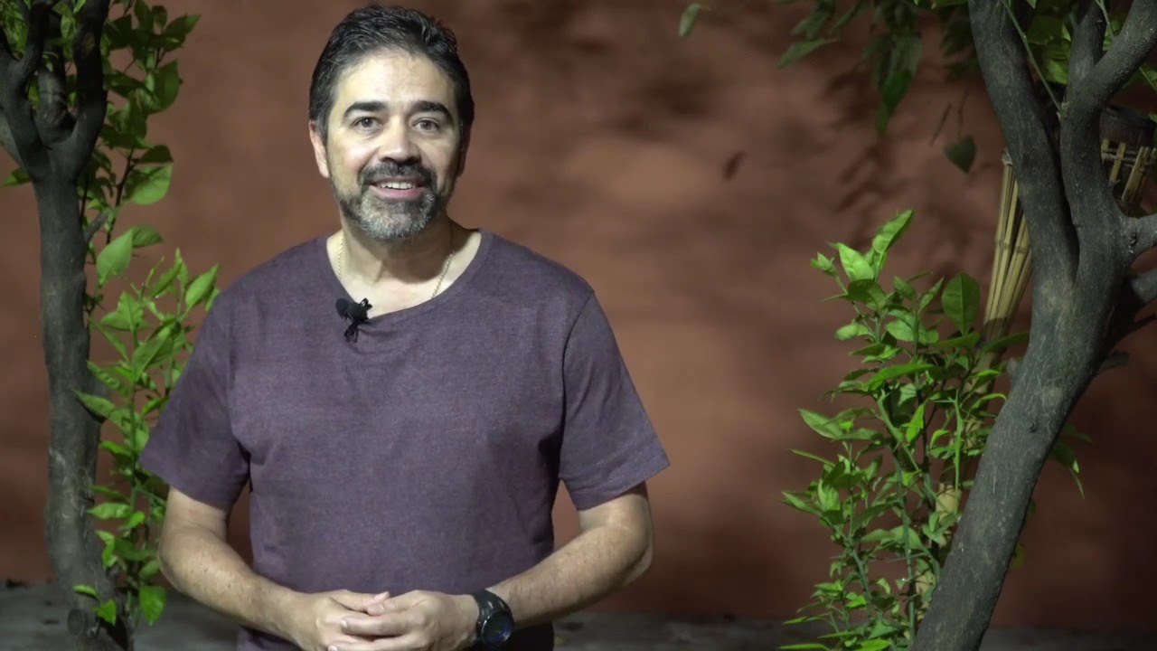 DEPOIMENTO DE JOSÉ RENATO - YouTube