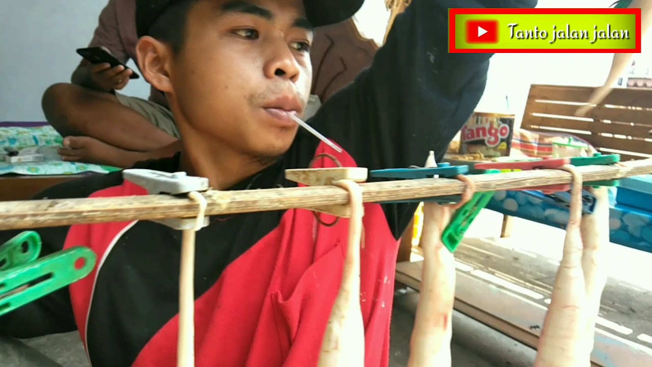 🎀Cara Memproses Dan Meniup Gelembung Ikan Cunang atau Ikan Remang - YouTube